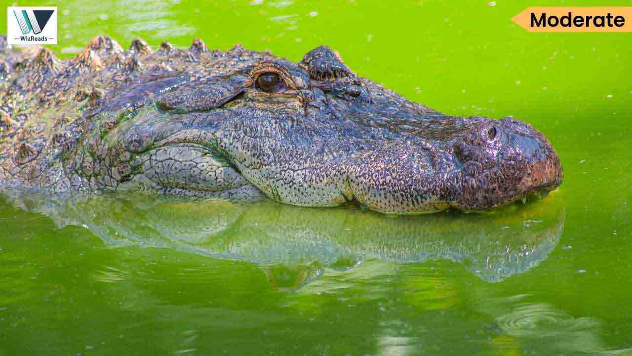 Deceptive Evolution | Science RC Practice